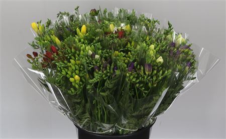 Bunch & English Flowers