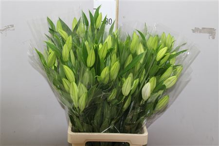 Bunch & English Flowers